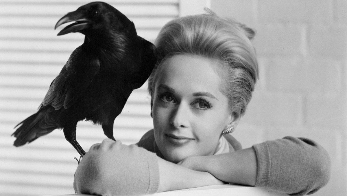 Behind The Scenes Saturday: The Birds | Karli Ray's Blog