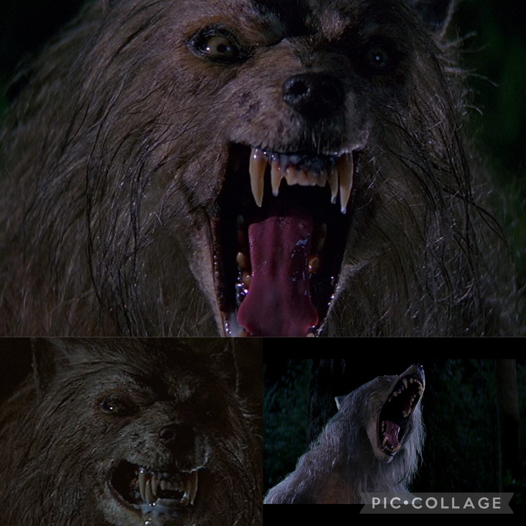 My Top 10 Favorite Werewolf Looks | Karli Ray's Blog