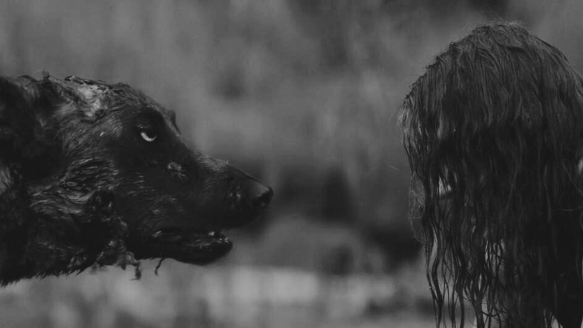 500 Of My Favorite Horror Movie Death Scenes – Part 1 | Karli Ray's Blog